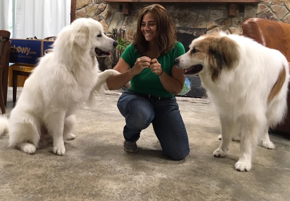 About Us Unique Dog Boarding Inc 